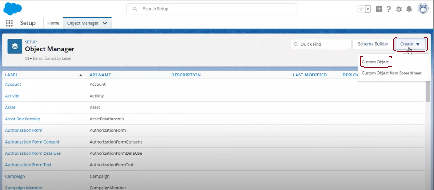 Creating Salesforce Custom Objects And Fields Simplified 101